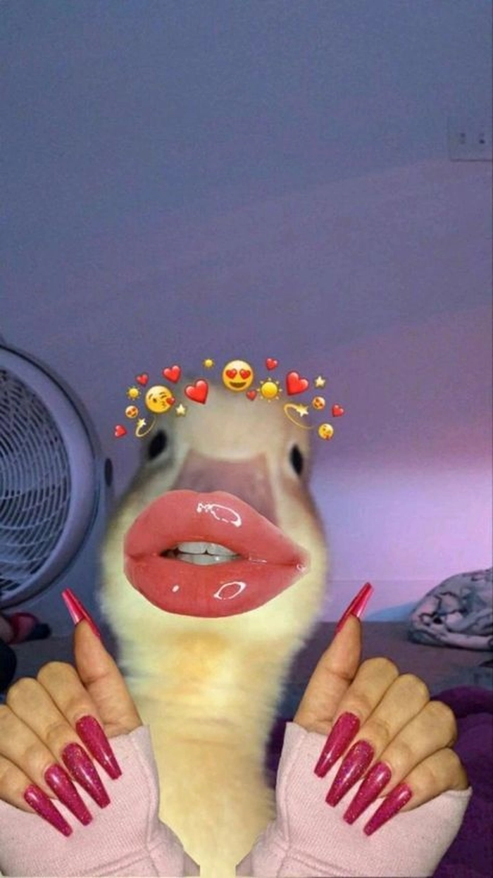 Top 225+ ảnh meme slay thần thái đỉnh cao tự tin ngút trời