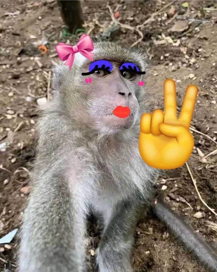 Top 225+ ảnh meme slay thần thái đỉnh cao tự tin ngút trời